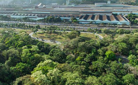 Usiminas Publica Nova Edição Do Relatório De Sustentabilidade