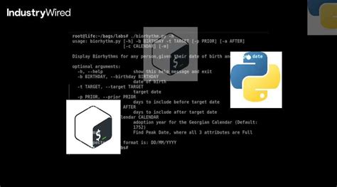 Python Vs Shell Choosing The Right Programming Language For Cybersecurity Professionals