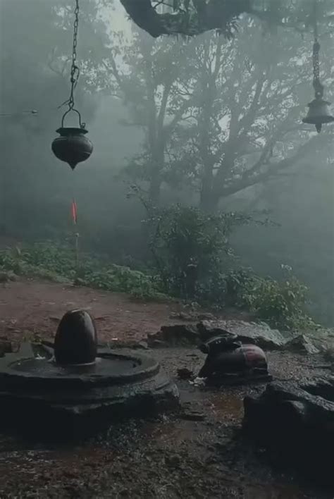 suraj rai posted on linkedin