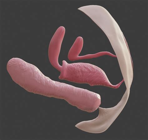 Tutorial Unity How To Uncensor Almost Any Unity Game F Zone Adult Games Comics