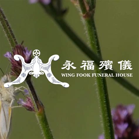 Ck Ivan Yeung On Linkedin Thanks 🙏