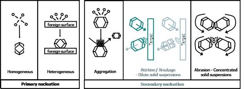 Perspectives Of A Young Scientist Under The Hood Nucleation