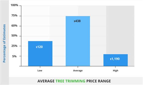 Tree Trimming Cost Guide 2022 Compare Prices Save 43