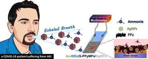 Design And Fabrication Of A Gas Sensor Based On A Polypyrrolesilver