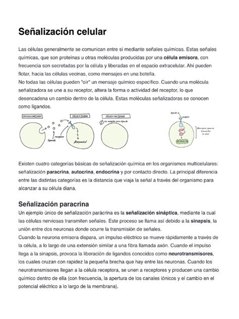 Biocel Pdf