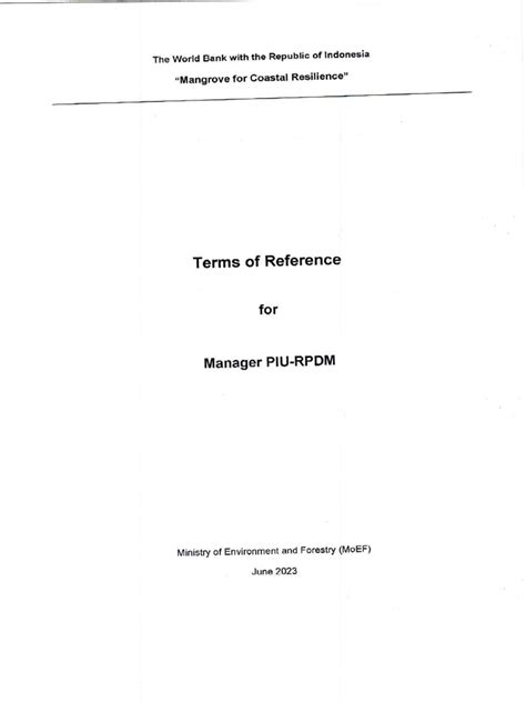 Terms Of Reference Manager Piu Rpdm Publish2 Pdf