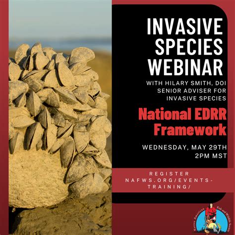 Invasive Species National Edrr Framework Native American Fish And