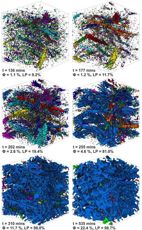 3 Dimensional Reconstructions Of The Pore Network With Time Different Download Scientific