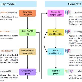 Reproducibility Workflow Diagram The Diagram Shows The Steps That Have Download Scientific