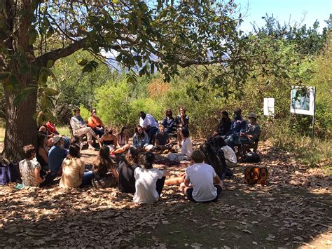 experiential learning in practice sustainability institute