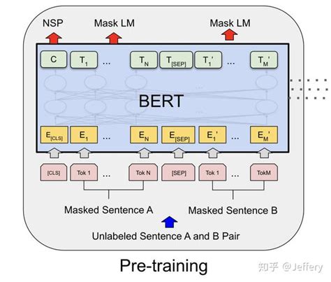 什么是bert？ 知乎