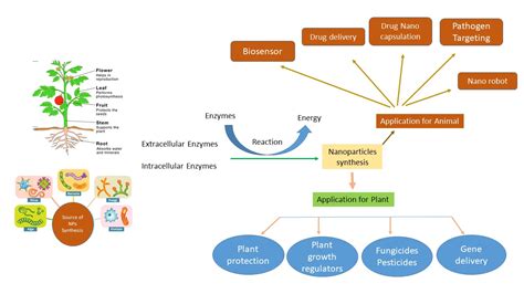 Articles In Press International Nano Letters