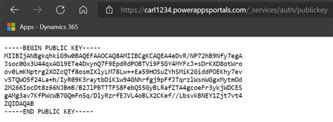 jwt json web tokens and power apps portals carl de souza