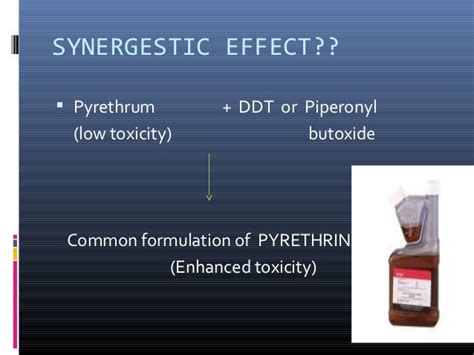 Pyrethrum And Synthetic Pyrethroids