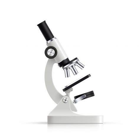 Microscope Drawing Template At Explore Collection