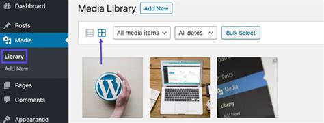 how to regenerate thumbnails in wordpress via plugins and wp cli