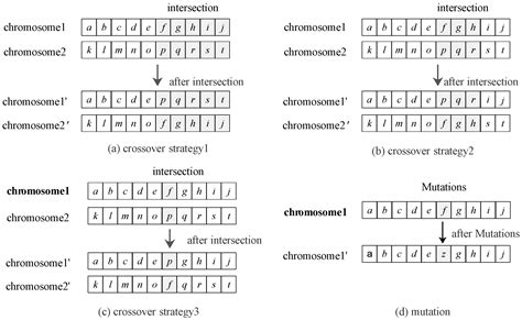 Symmetry Free Full Text A Hybrid Whale Optimization Algorithm For