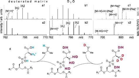 Deuteration And Fragmentation Experiments With Ps160181 Standard Download Scientific