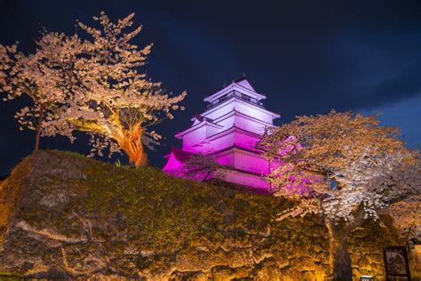 鶴ヶ城さくらまつり東北の観光スポットを探す 旅東北 東北の観光旅行情報サイト