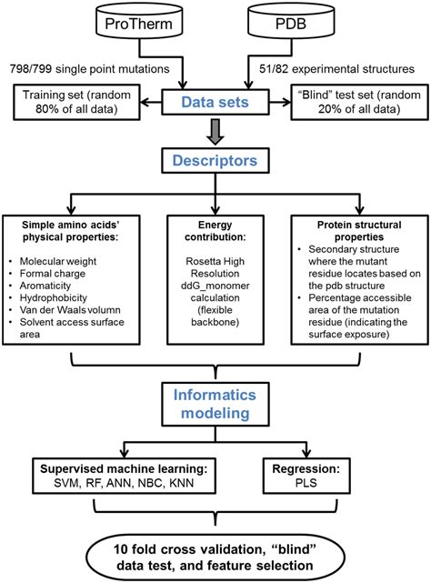 Workflow Of Model Construction Download Scientific Diagram