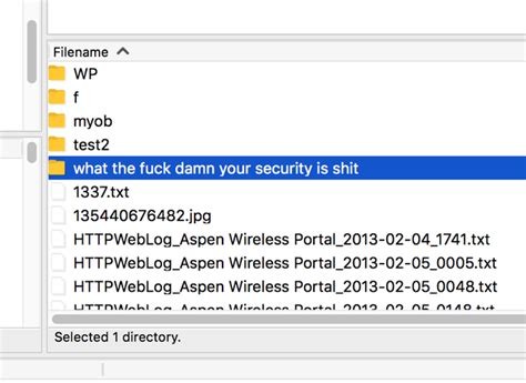 Polluted Appdata Directory Rwindows10