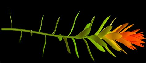 Mathematical Systems Thinking In Human Ecology Phileas Dazeley Gaist