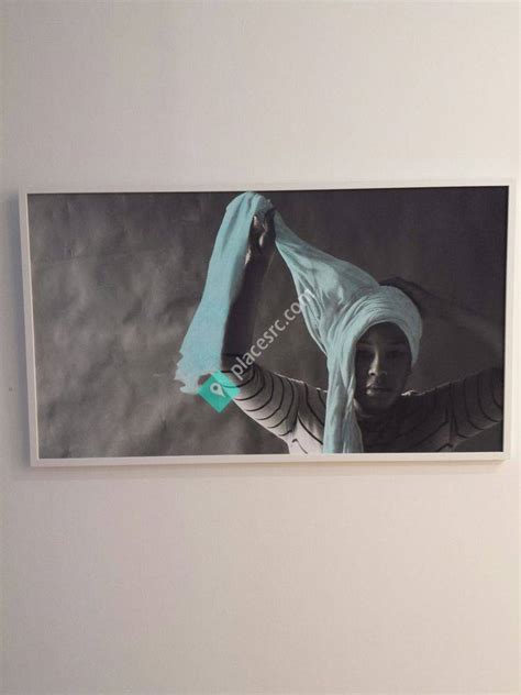 Alice Wild S Milwaukee