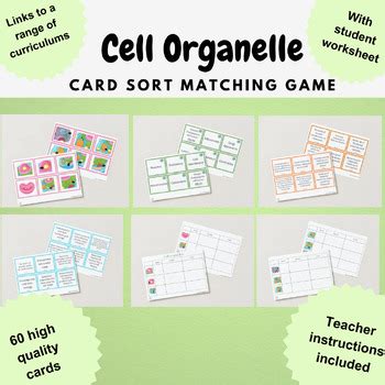Cell Organelle Card Sort Matching Game Activity By CrittersAcademy