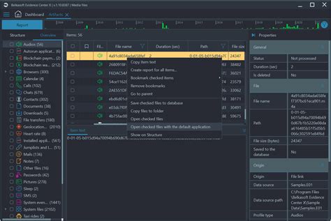 Media File Forensics With Belkasoft X