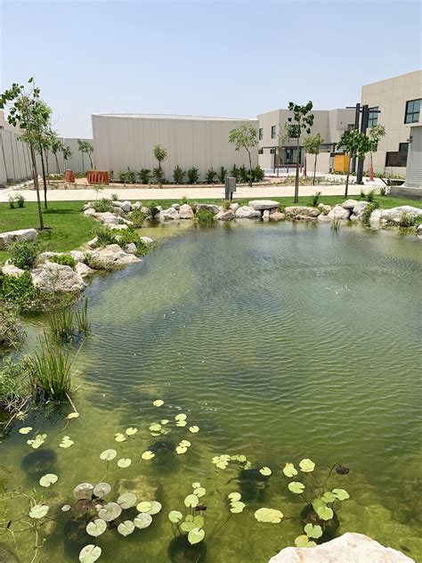 muhammad fadhil posted on linkedin