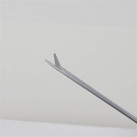 Bellucci Scissors Bear Ent