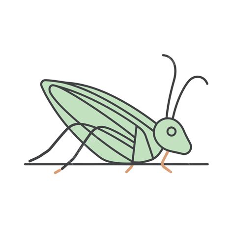 Green Line Illustration Of A Grasshopper Vector Grasshopper Lineal