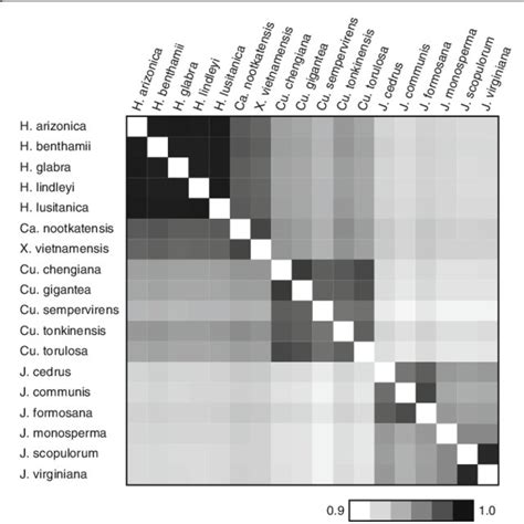 Similarity Plot Based On Pairwise Comparison Of Plastomes From The Download Scientific Diagram