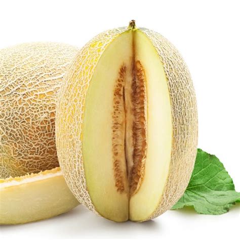 Melon White Crenshaw Cucumis Melo Mygardenlife