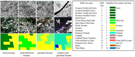 Multi Label Remote Sensing Image Land Cover Classification Based On A Multi Dimensional