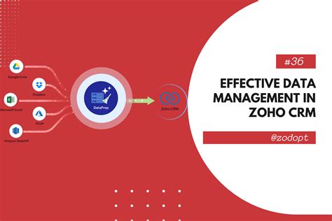 Zoho Crm Data Management Best Practices For Efficiency