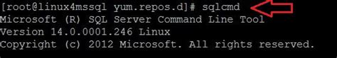 Installing Sql Server Tools To Make A Database Connection From Redhat Linux Server
