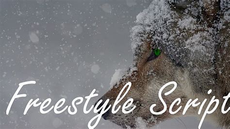 Freestyle Script Font Download Free For Desktop And Webfont