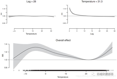 算法 系列文章 R语言分布滞后线性和非线性模型dlm和dlnm建模应用附代码数据 拓端数据 Segmentfault 思否