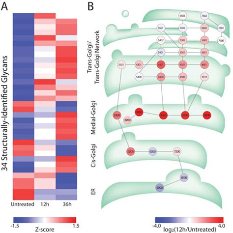 Biomagnetic Separation Attracting Users