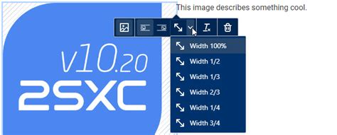 Field Input Type String Wysiwyg Rich Mode New 1601 2sxc 19 For Dnn