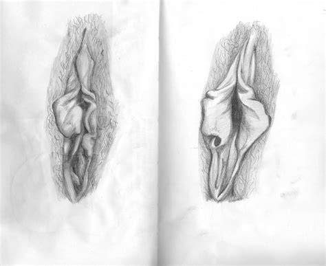 How To Draw A Pussy Porn