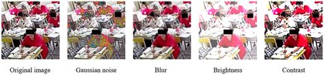 Data Enhancement Adding Gaussian Noise Blur Brightness And Contrast