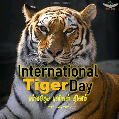 Maho Jase It On Linkedin Tiger Tigerday Globaltigerday