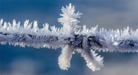 C Leetcode Easy 476 Number Complement 從入門到放棄