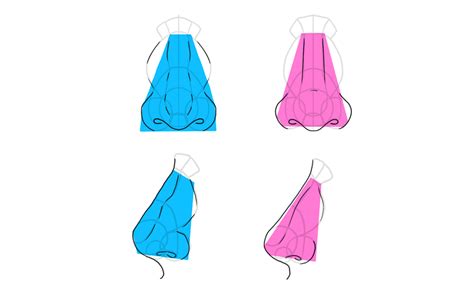 How To Draw A Nose Envato Tuts