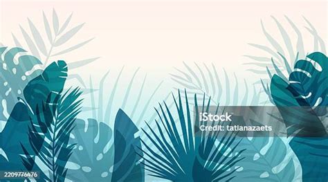 여름 열대 벡터 배경입니다 야자수 잎 몬스테라 바나나 테두리 패턴 열대 그라디언트 추상 현대 삽화 정글 부드러운 새벽 개념에 대한 스톡 벡터 아트 및 기타 이미지 Istock