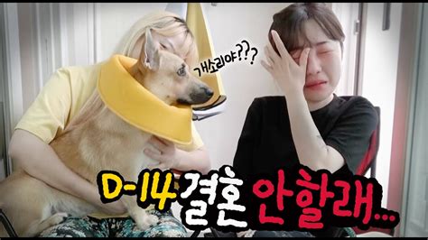 언니가 결혼 못하겠다고 우는데어떡하죠 Youtube