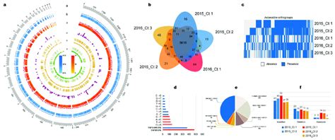 Genome Wide Variant Events Of Candida Tropicalis Strains A Download Scientific Diagram