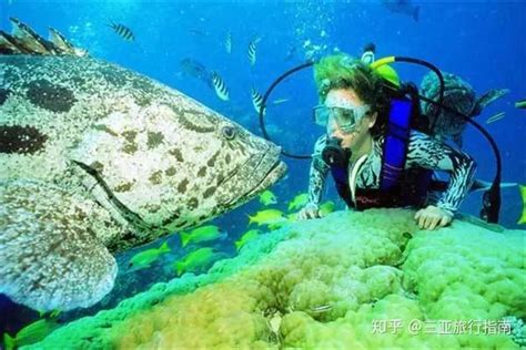 海上项目丨三亚潜水哪里好六大基地任你挑二 知乎